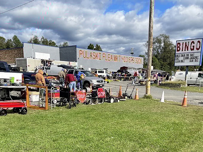 Pulaski's bold signage promises no-nonsense deals, delivering the flea market experience your parents taught you about.