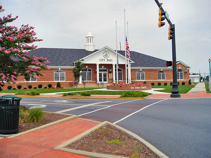 Seaford's City Hall stands proud with its classic brick design and welcoming cupola. The crepe myrtle blooms add a splash of color to this civic centerpiece.