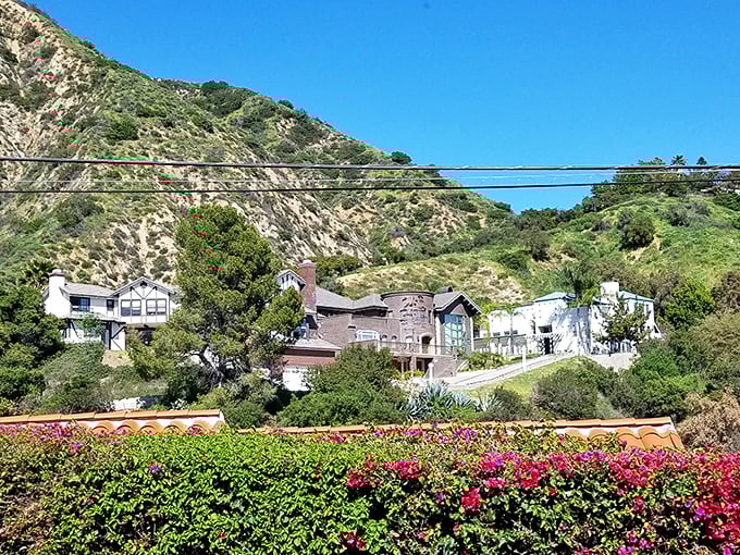Sierra Madre's hillside homes play hide-and-seek among the greenery. Those bougainvillea blooms pop like nature's confetti – California's version of "Hanging Gardens."