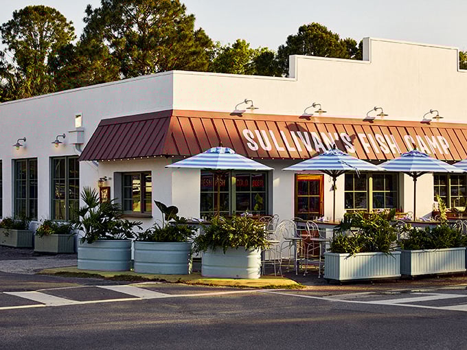 This island oasis serves up coastal cool with a side of surprisingly stellar pizza that'll make you rethink everything.