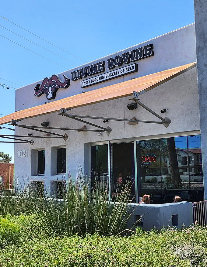 Modern meets meaty at Divine Bovine. This Tucson gem's clean lines and clever logo promise a religious experience for burger devotees.