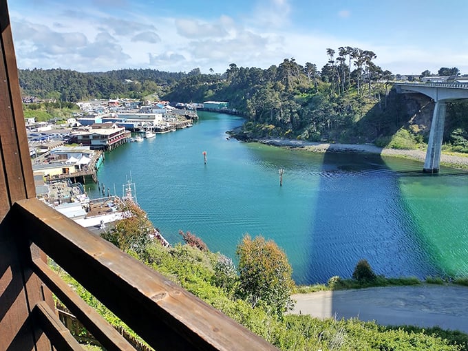 The harbor at Fort Bragg bustles with working boats beneath a perfect sky. Fresh seafood isn't shipped here—it's simply coming home.
