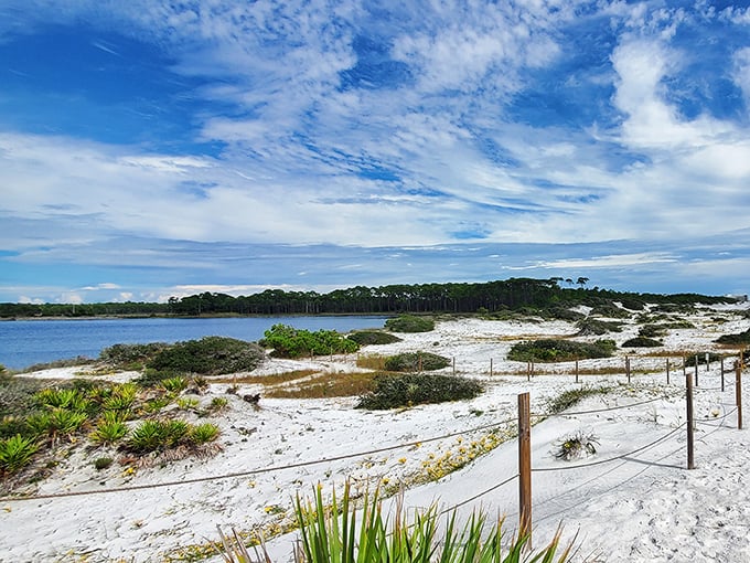 Coastal dune lakes are Florida's unicorns – rare, magical, and worth the hunt through sandy trails.