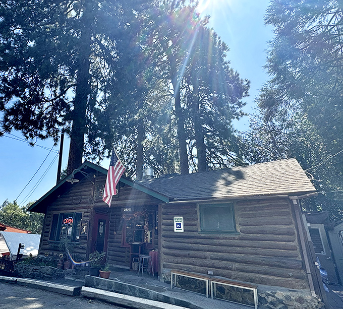 Pizza with altitude and attitude. LouEddie's rustic charm is the perfect setting for their wood-fired mountain masterpieces.