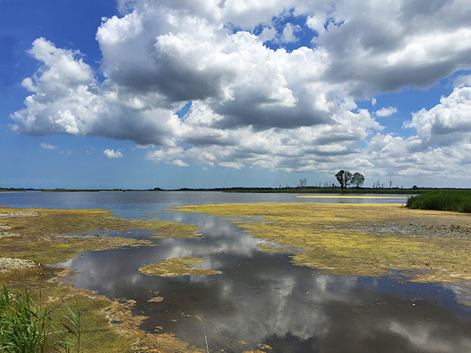Nature meets small-town tranquility – Milton's scenic water views make everyday feel like a mini-vacation.