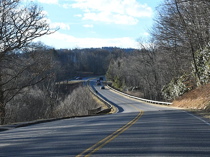 Winter transforms Newfound Gap Road into a monochrome masterpiece that would make Ansel Adams reach for his camera.