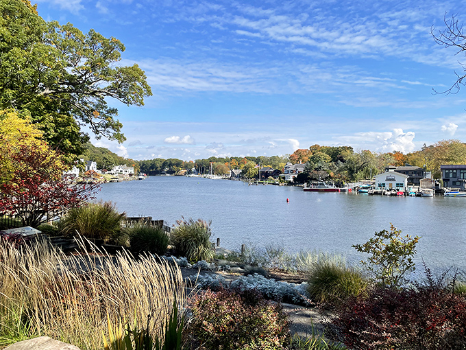 Fall colors transform Saugatuck into a golden wonderland. From this height, you can almost smell the apple cider and hear the crunch of leaves.