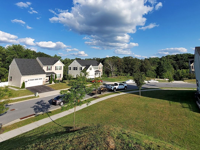Modern homes with actual yards—a luxury that Windsor Mill residents enjoy without breaking the bank.