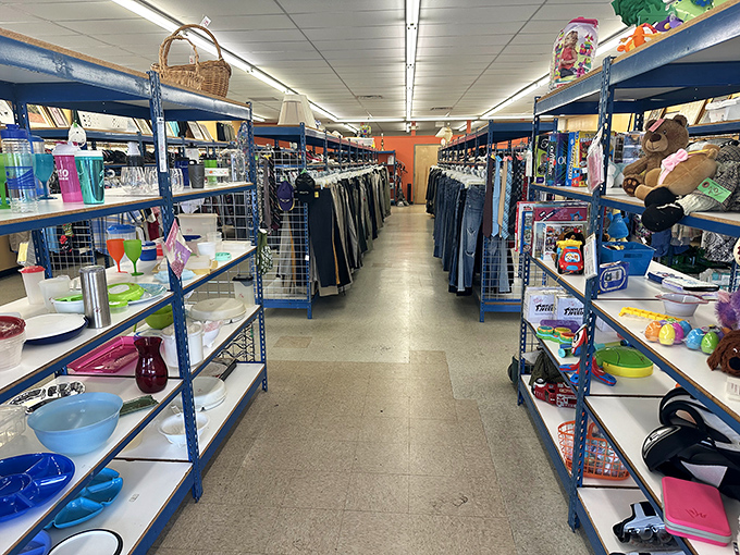 The thrill of the hunt distilled into one perfect aisle. Kitchen treasures on the left, clothing bargains on the right—decision paralysis never felt so good.