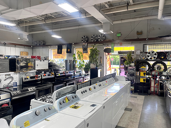 Appliance heaven for the practical treasure hunter. That washer might not be Instagram-worthy, but it'll change your Sunday afternoons forever.