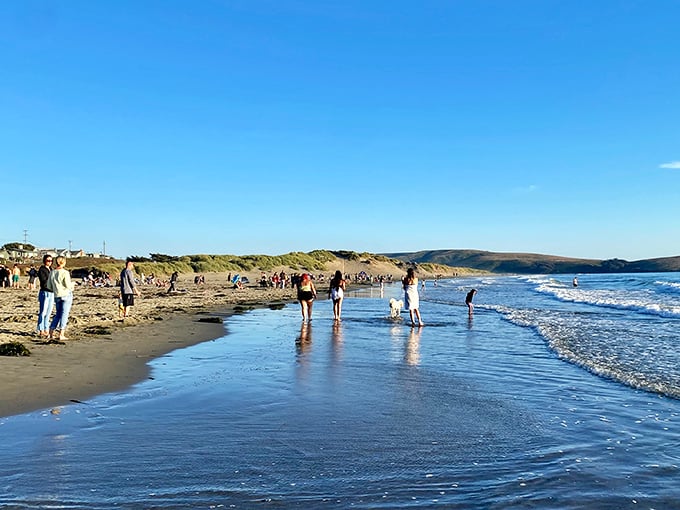 Beach therapy in session! Nothing heals the soul like watching your dog outrun the waves while you pretend to keep up.