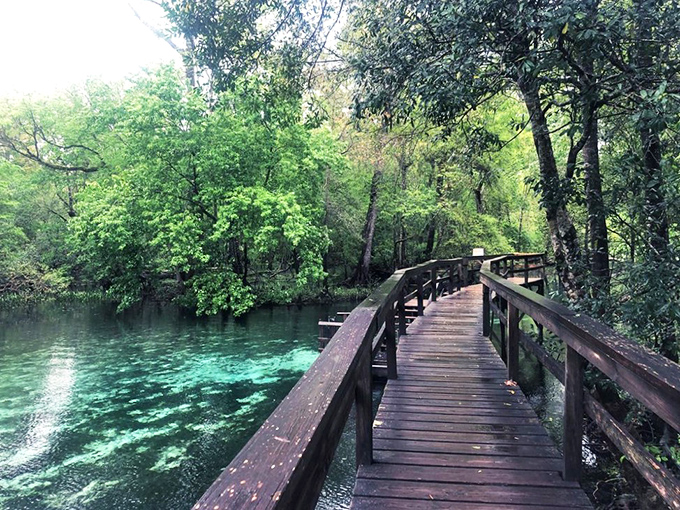 Not all paths to paradise are difficult. This wooden boardwalk offers front-row views of the springs without getting your feet wet—unless you want to.