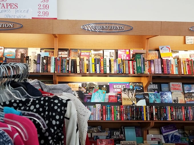 Bookworms rejoice! These shelves hold literary journeys for less than the price of a coffee—bestsellers and obscure gems living in peaceful coexistence.