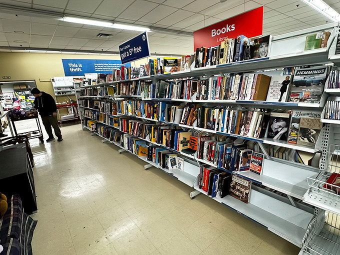 Literary treasures await the patient browser. From bestsellers to obscure gems, these shelves are where books begin their second chapters.