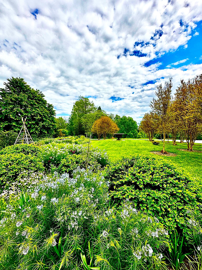 Spring's grand performance in full swing. These blooms don't need a spotlight—they command attention all on their own.