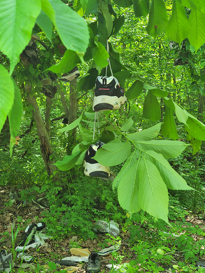 Spring brings new life to the forest—and apparently new shoes too, as fresh footwear peeks out among vibrant green leaves.