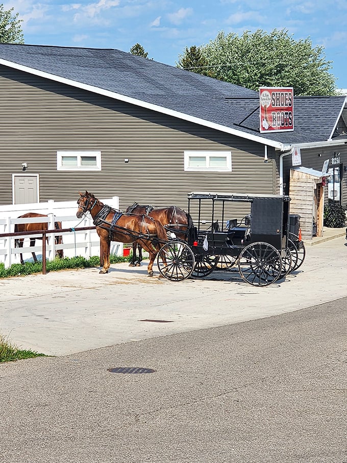 Horse parking only! This trusty steed waits patiently outside a local shop, reminding visitors that some transportation methods never go out of style.