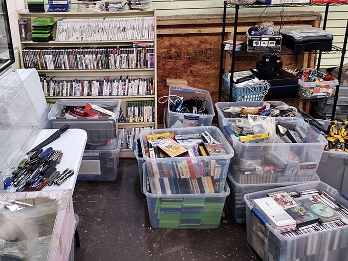 Media heaven for the patient treasure hunter. Those plastic bins contain forgotten blockbusters and obscure gems waiting for their second act.