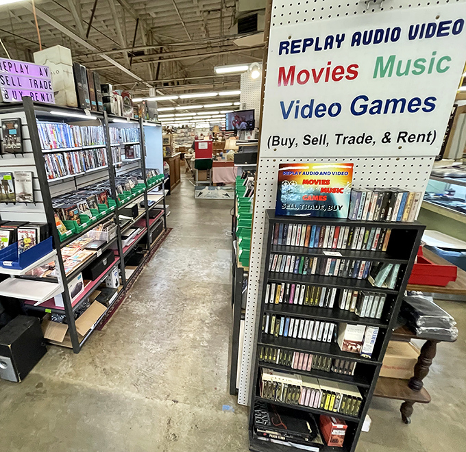Media memories line these shelves, where forgotten films and albums await rediscovery. Remember when we actually had to leave the house to be entertained?