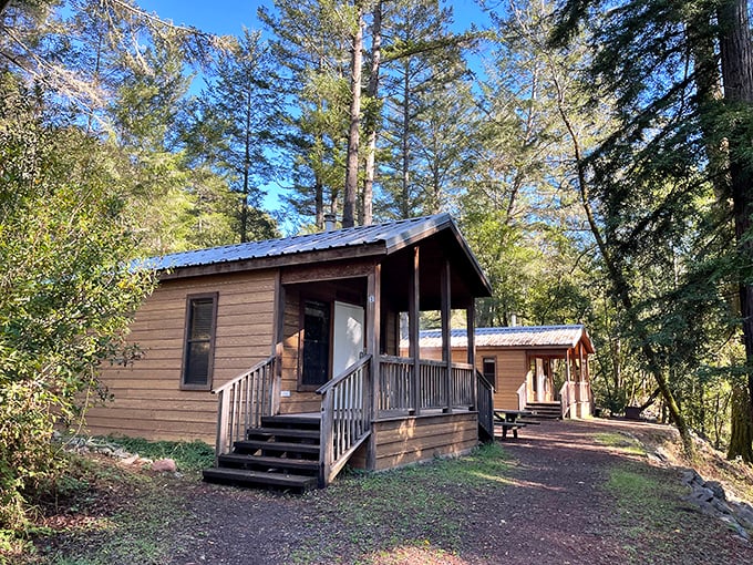 Rustic cabins offer "glamping" before it was trendy. Like staying in a treehouse, minus the childhood fear of falling out.
