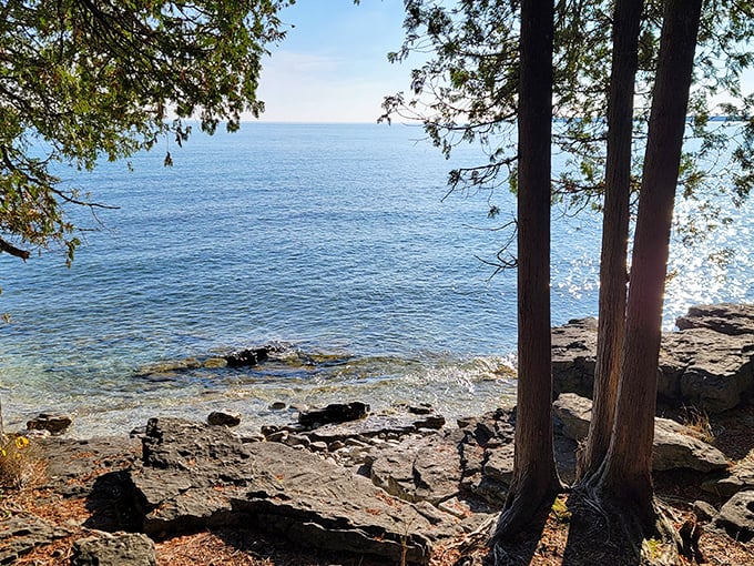 Trees standing guard over crystal waters—like nature's version of those fancy hotel doormen, but without expecting a tip.