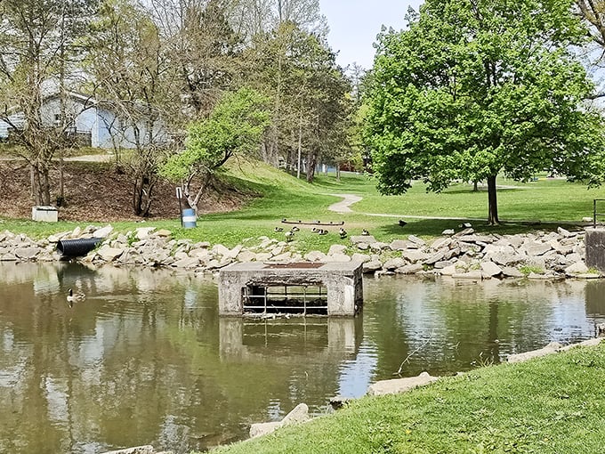 Cambridge City Parks offer that perfect blend of serenity and ducks—nature's most persistent reminder that bread crumbs are never truly wasted.