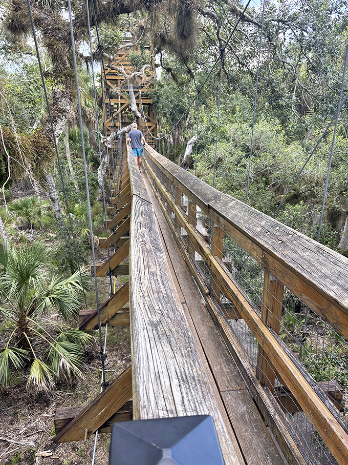 Walking the canopy walkway feels like cheating evolution – humans weren't meant to stroll among treetops, but we're certainly glad we can!
