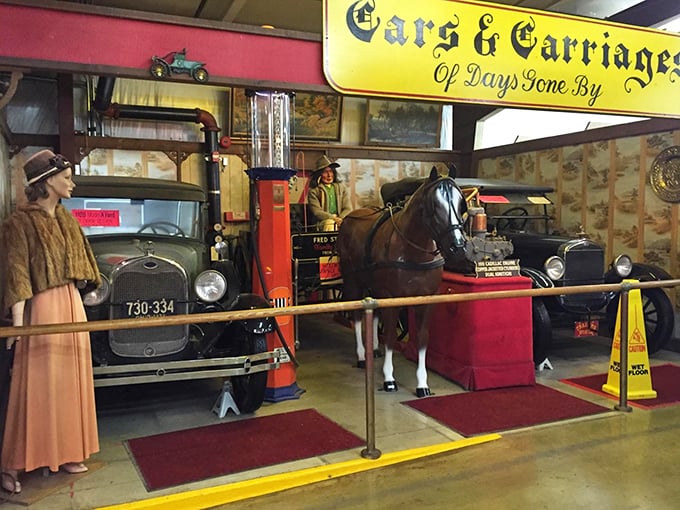 The "Cars & Carriages" exhibit rolls back time, showcasing vintage automobiles alongside horse-drawn transportation that ruled the road before horsepower got literal.
