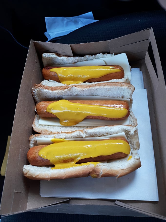 Cheese dogs lined up like soldiers ready for delicious duty. That vibrant yellow blanket isn't just cheese—it's edible sunshine on a bun.