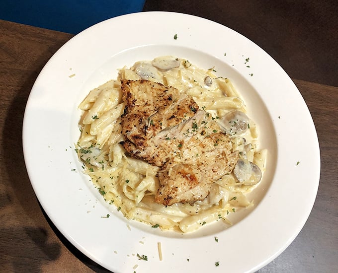 Pasta that doesn't need to show off to impress. That grilled chicken isn't just sitting on those noodles—it's holding court over a creamy kingdom.