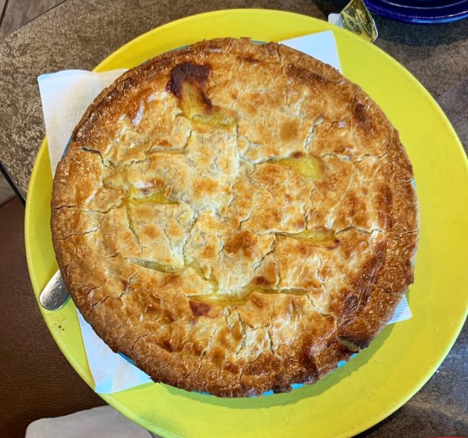 Golden, flaky crust housing a savory chicken filling—this pot pie doesn't just warm your stomach, it hugs your soul from the inside.