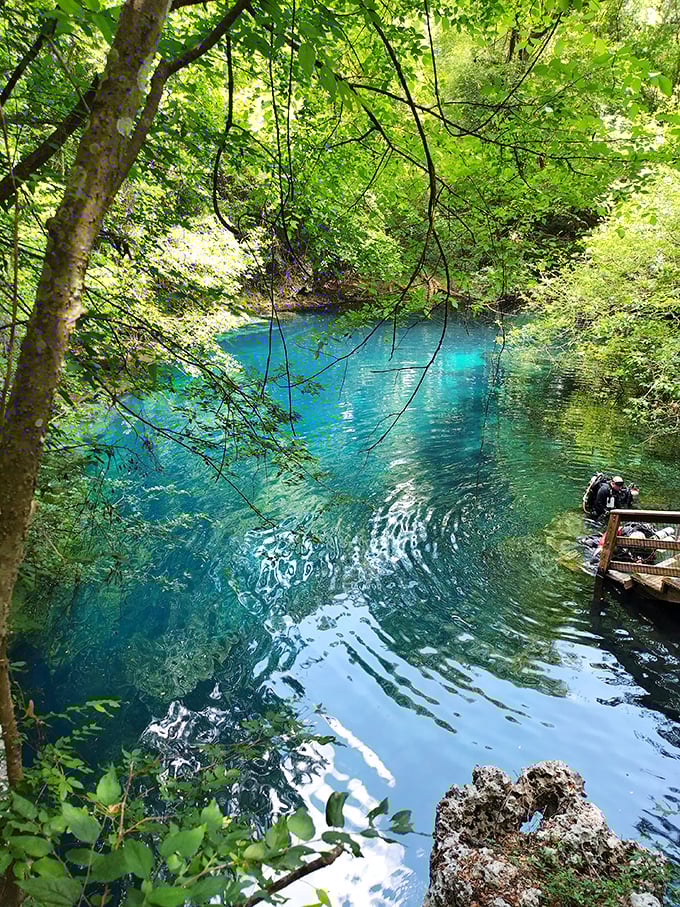 The spring's electric blue glow isn't special effects—it's just what happens when sunlight hits water this impossibly pure.