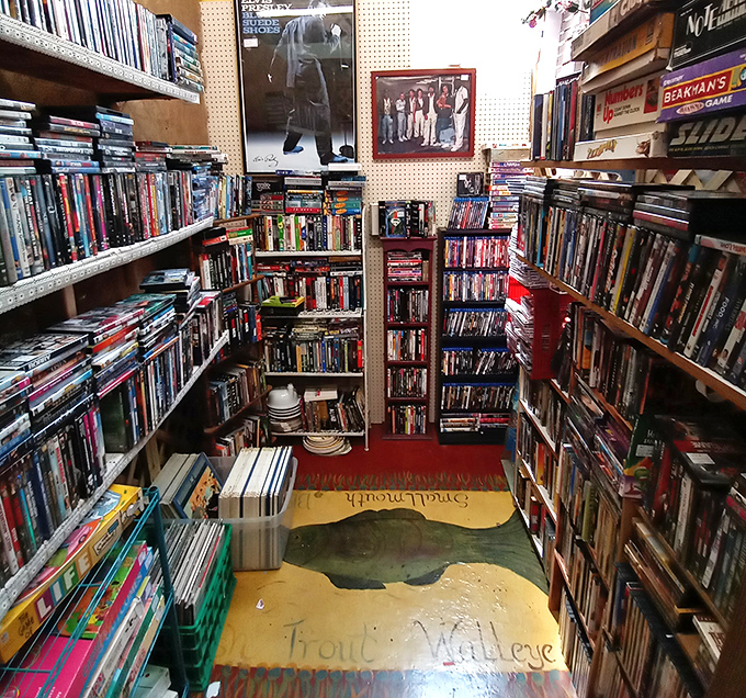 A cinephile's dream den—where forgotten blockbusters and cult classics sit side by side, waiting for their second act in your home theater.