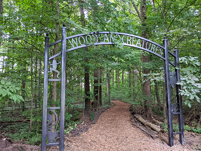 "Woodland Creatures" indeed! This enchanting forest entrance promises the kind of natural adventure that no virtual reality could ever replicate.