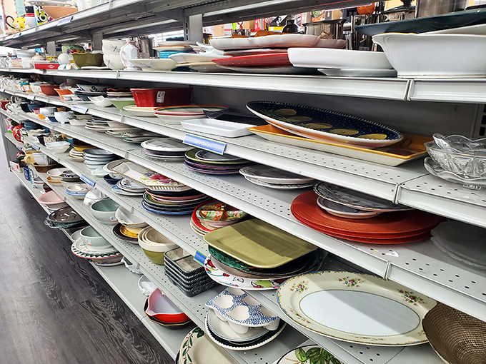 Enough plates and bowls to host Thanksgiving for the entire neighborhood – twice.