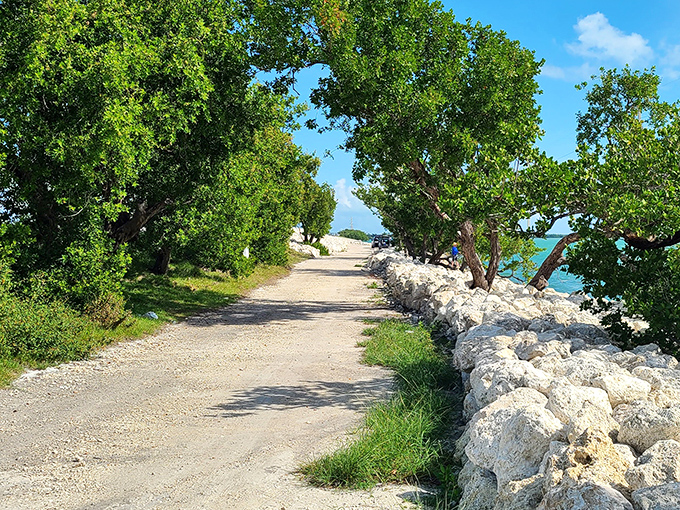 Nature frames the journey with tropical greenery on one side and limestone shores on the other—Florida's version of a red carpet.