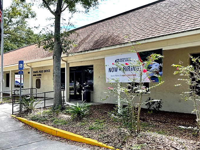 Even the post office in Dunedin has that "not in a hurry" Florida charm. Where sending mail feels less like an errand and more like a pleasant social outing.