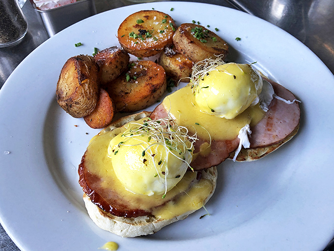 Eggs Benedict perfection—those golden orbs of hollandaise-draped poached eggs perched atop Canadian bacon would make any breakfast enthusiast weak at the knees.