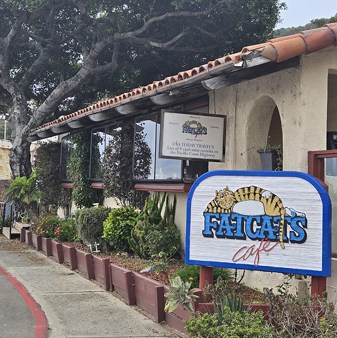 Fat Cats Cafe's whimsical sign promises what California does best – laid-back dining where the only dress code is "whatever makes you comfortable."
