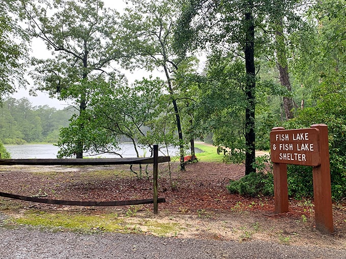 The "Fish Lake" sign doesn't just mark a location—it's an invitation to slow down, cast a line, and remember what patience feels like.