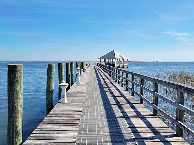 This wooden walkway stretches toward infinity, promising contemplative moments and Instagram opportunities in equal measure.