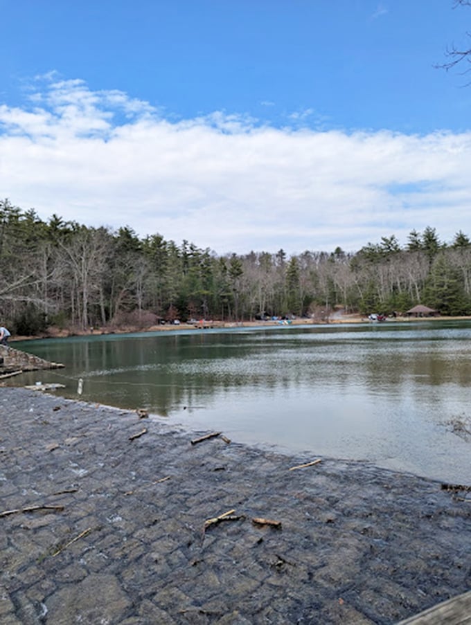 Early spring at Whipple Dam—that magical moment when the forest awakens but hasn't yet revealed all its secrets.
