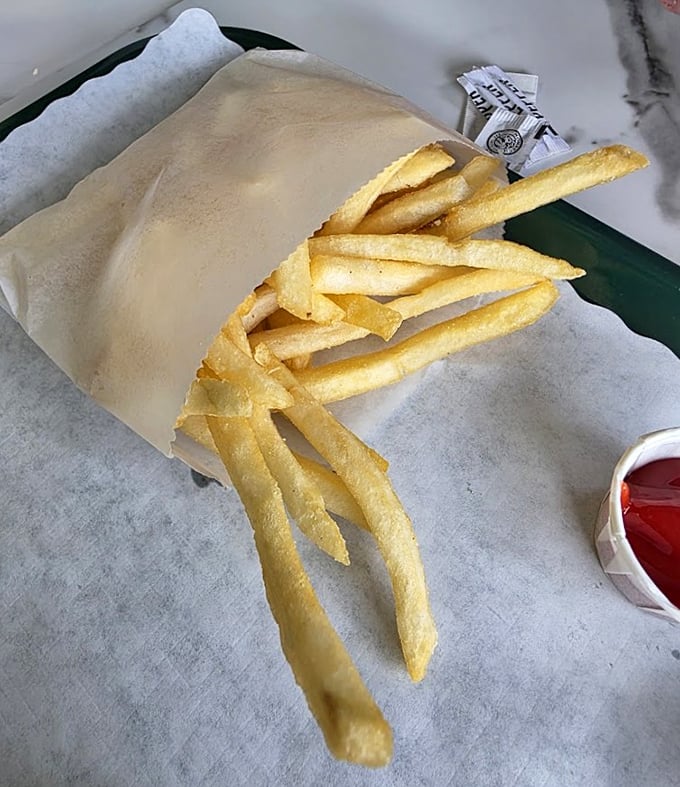 Golden, crispy, and perfectly salted—these fries aren't just a side dish, they're the supporting actor that deserves its own Oscar.