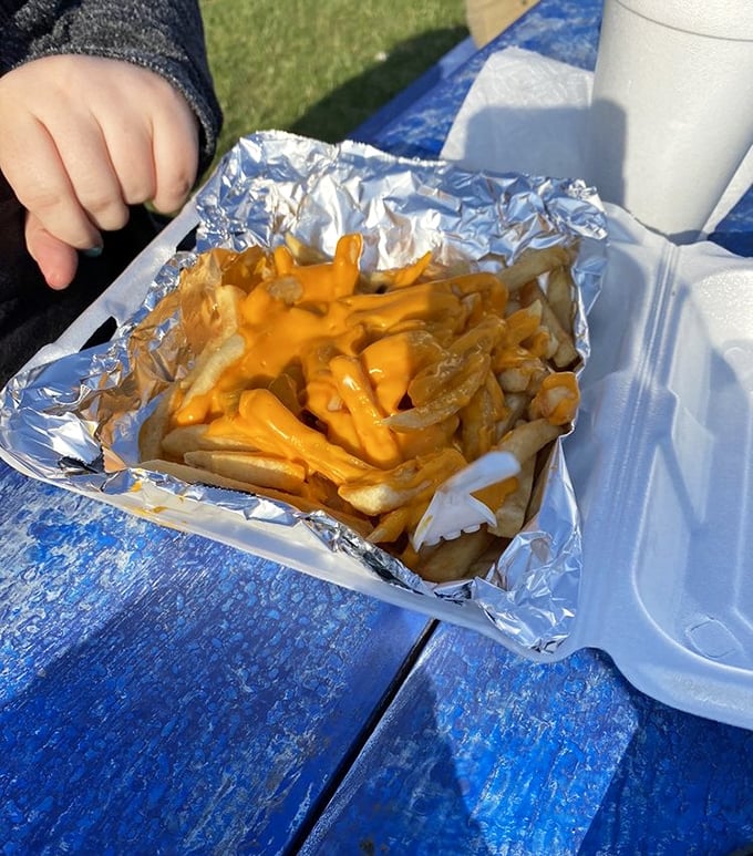 Cheese fries that don't apologize for being exactly what they are – a glorious, messy indulgence worth every napkin you'll need afterward.