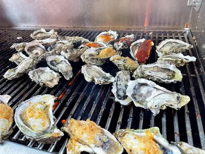 Oysters getting the grill treatment—like sending shellfish to a spa where they emerge transformed, smoky, and ready for their close-up.