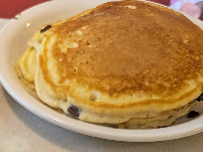 Golden, fluffy hot cakes that have absorbed decades of breakfast wisdom. The blueberries aren't just fruit—they're little bursts of morning joy.
