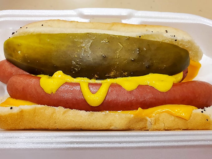 A Chicago-style hot dog with the works – a colorful garden on a bun that makes desert dwellers feel like they're lounging by Lake Michigan.
