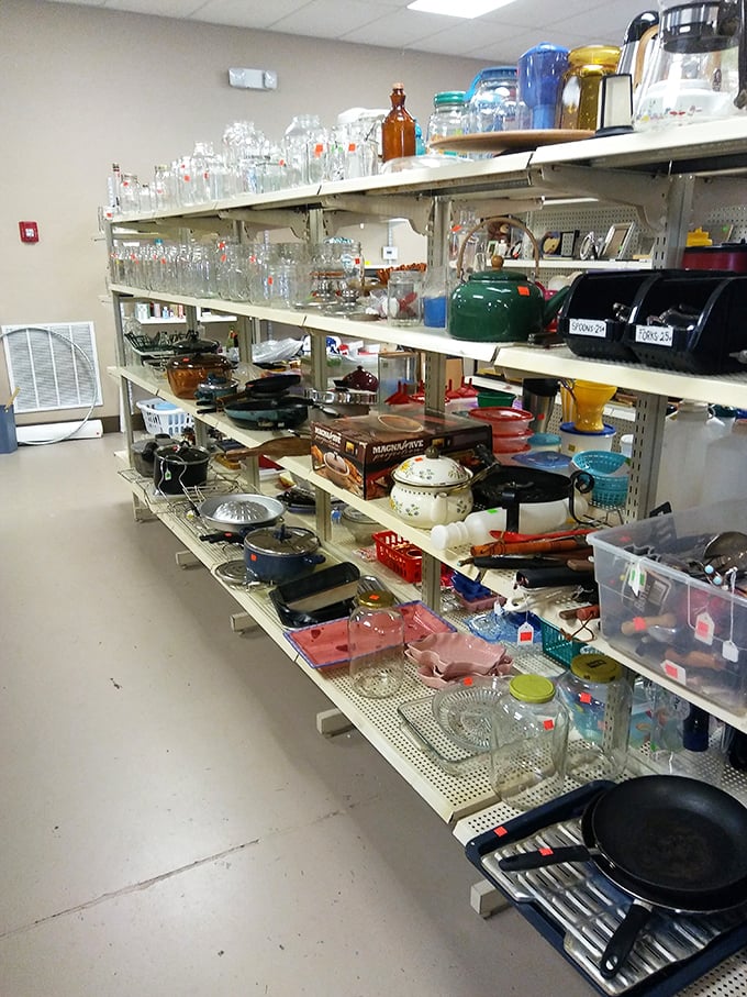 Kitchen gadget archaeology at its finest—where Pyrex from three decades ago sits proudly next to coffee makers waiting for their second act.