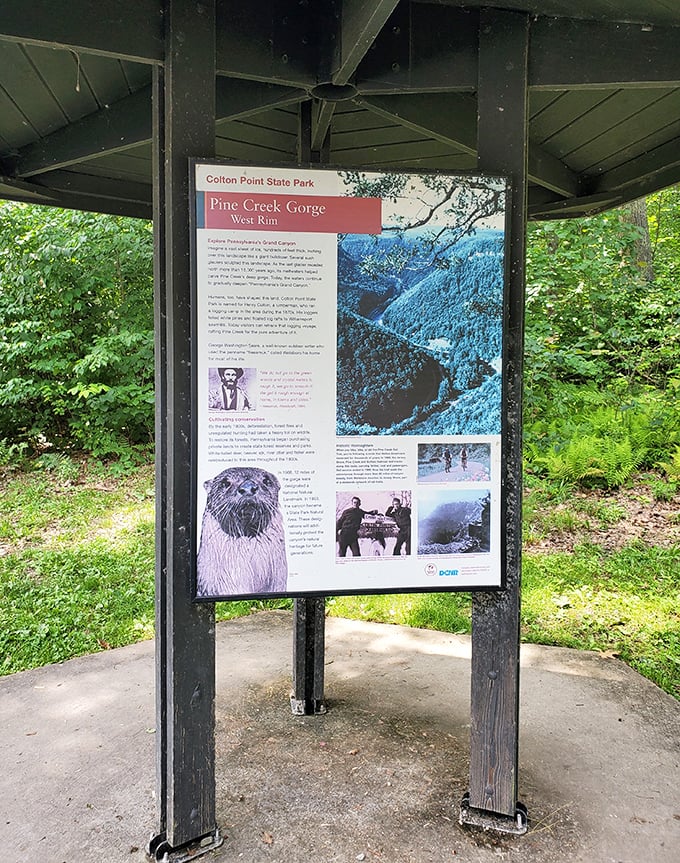 Knowledge enhances wonder—this informational display shares the story behind the spectacular views. History and scenery, the perfect travel companions.
