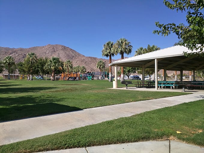 Knott Sky Park spreads out like nature's own meditation garden, where desert views stretch farther than your worries.